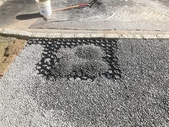 Amazon.com : TRUEGRID | Root Grass Pavers | Designed as Patio Pavers ...