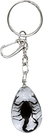 Amazon.com: Fablinks Scorpion Keychain for Men, Real Bug Key Chain with ...