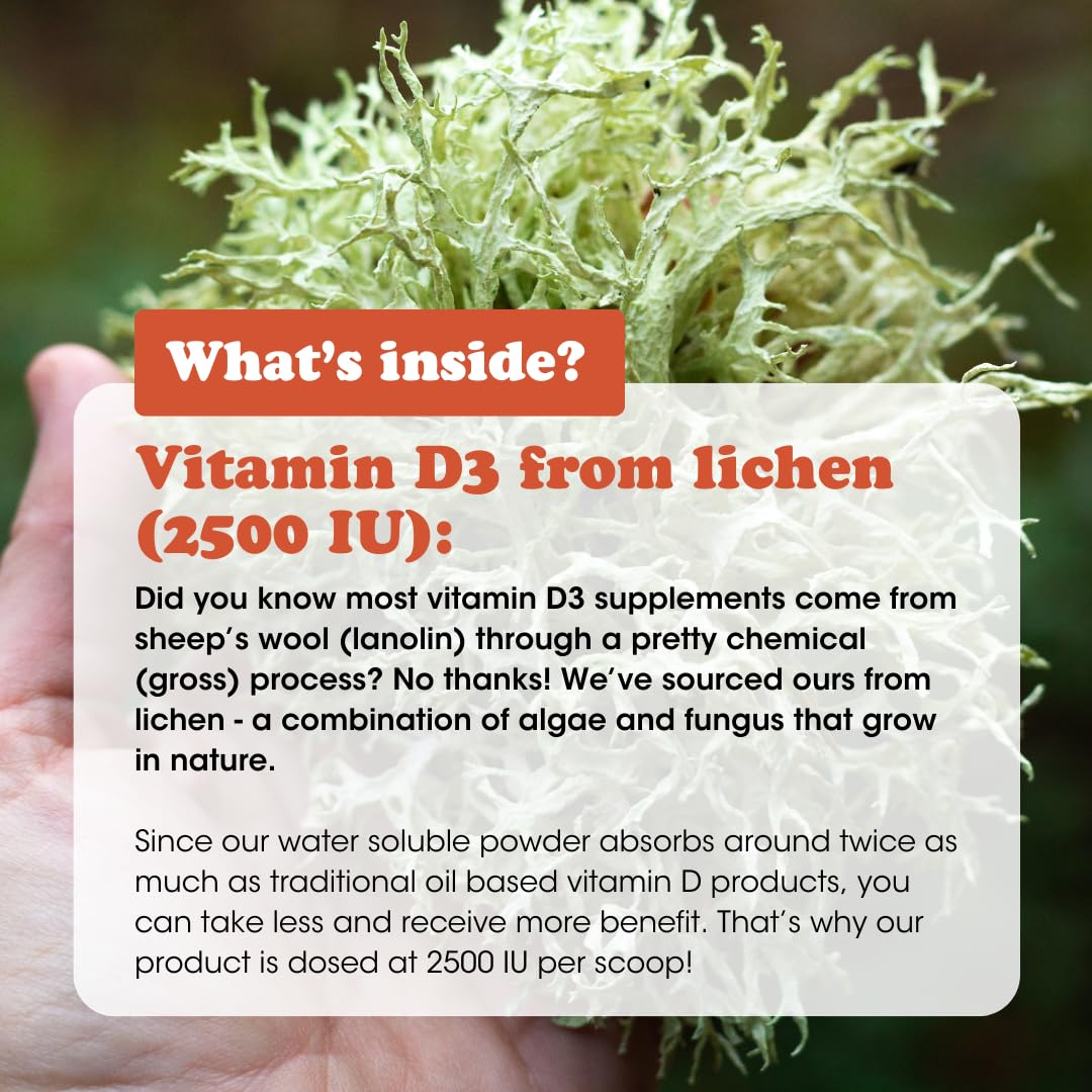 Pó Solúvel de Vitamina D3 e K2 da Fringe, 30 Porções de Alta ...