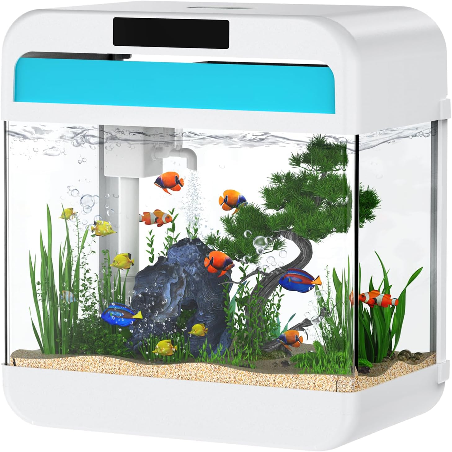 Amazon.com : Fish Tank Aquarium 2.2 Gallon Fish Bowl with Adjustable 3 ...