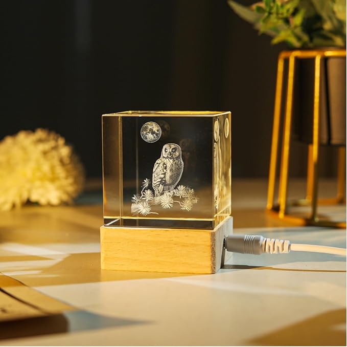 LONGWIN Owl Gifts for Owl Lovers, 3D Crystal Owls Gifts for Women Led ...