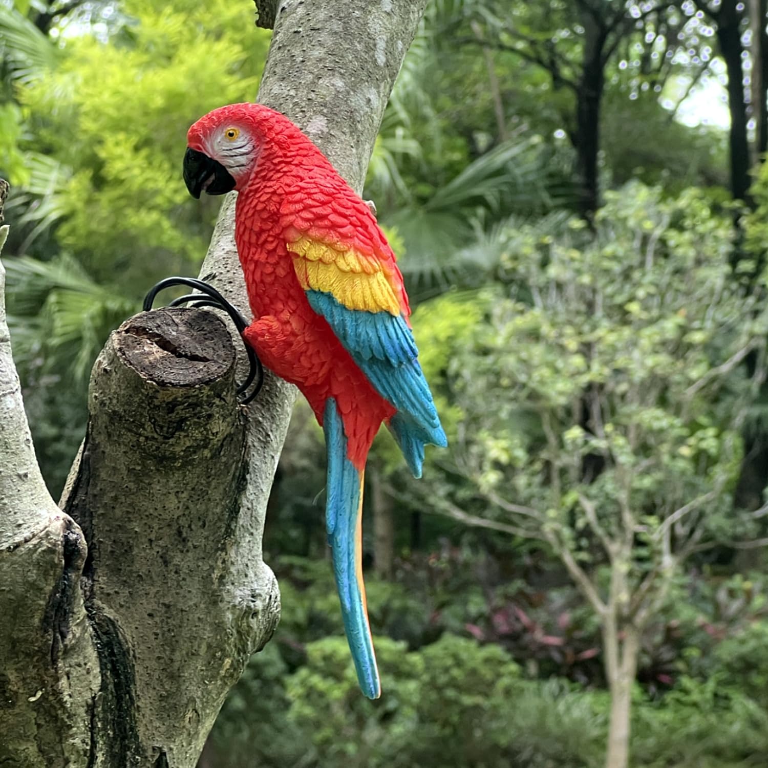 Amazon.com : Handsider Realistic Parrot Sculpture Resin Hanging Parrots ...