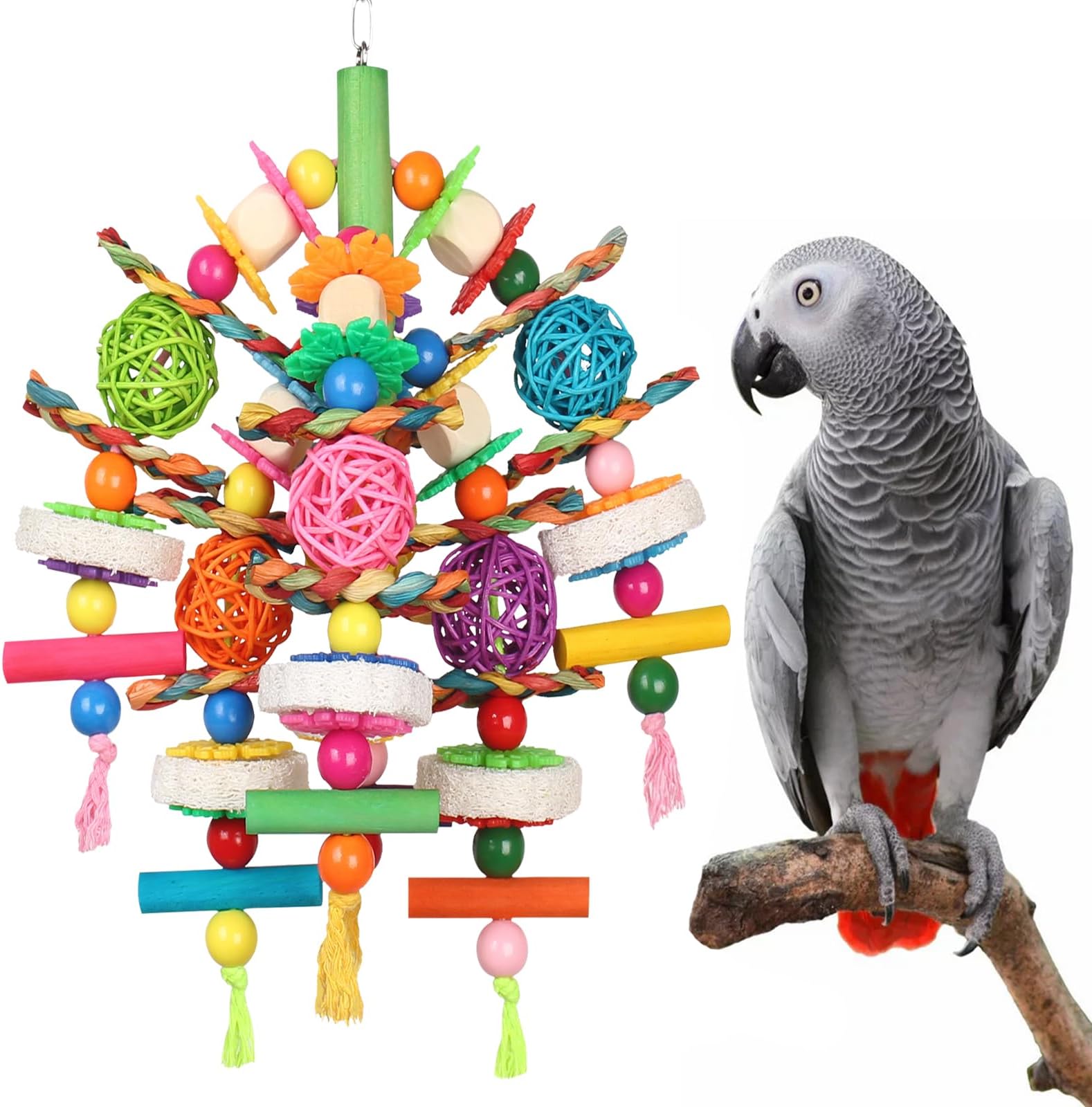 Amazon.com : Viuvoiul Parrot Toys, Natural Coconut Shell Colorful ...