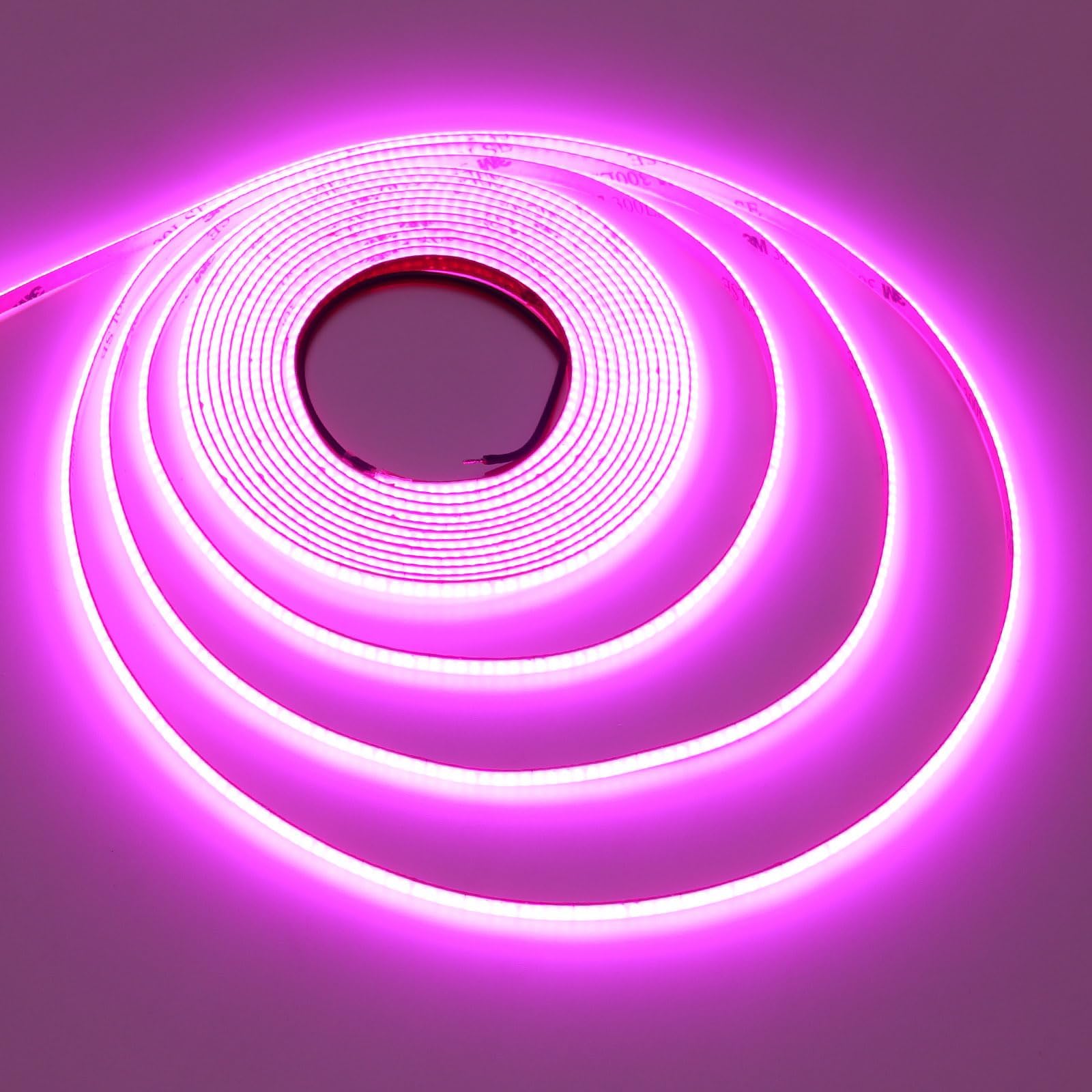 Amazon.com: Meijiajia LED Neon Strip Lights, Purple 12V/16.4ft ...