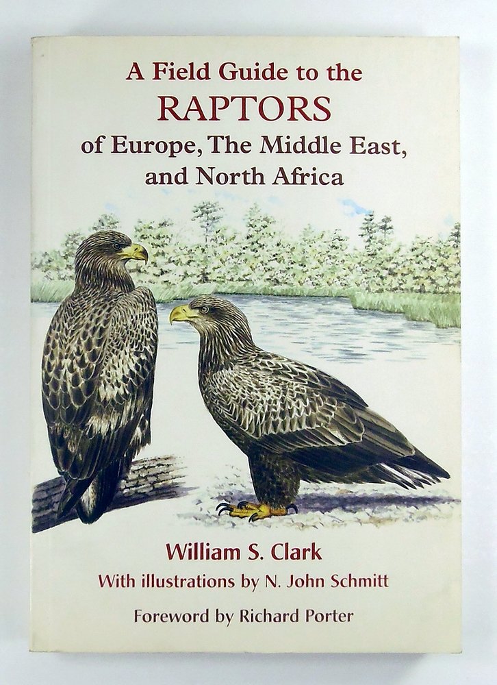 Amazon.com: A Field Guide to the Raptors of Europe, the Middle East ...
