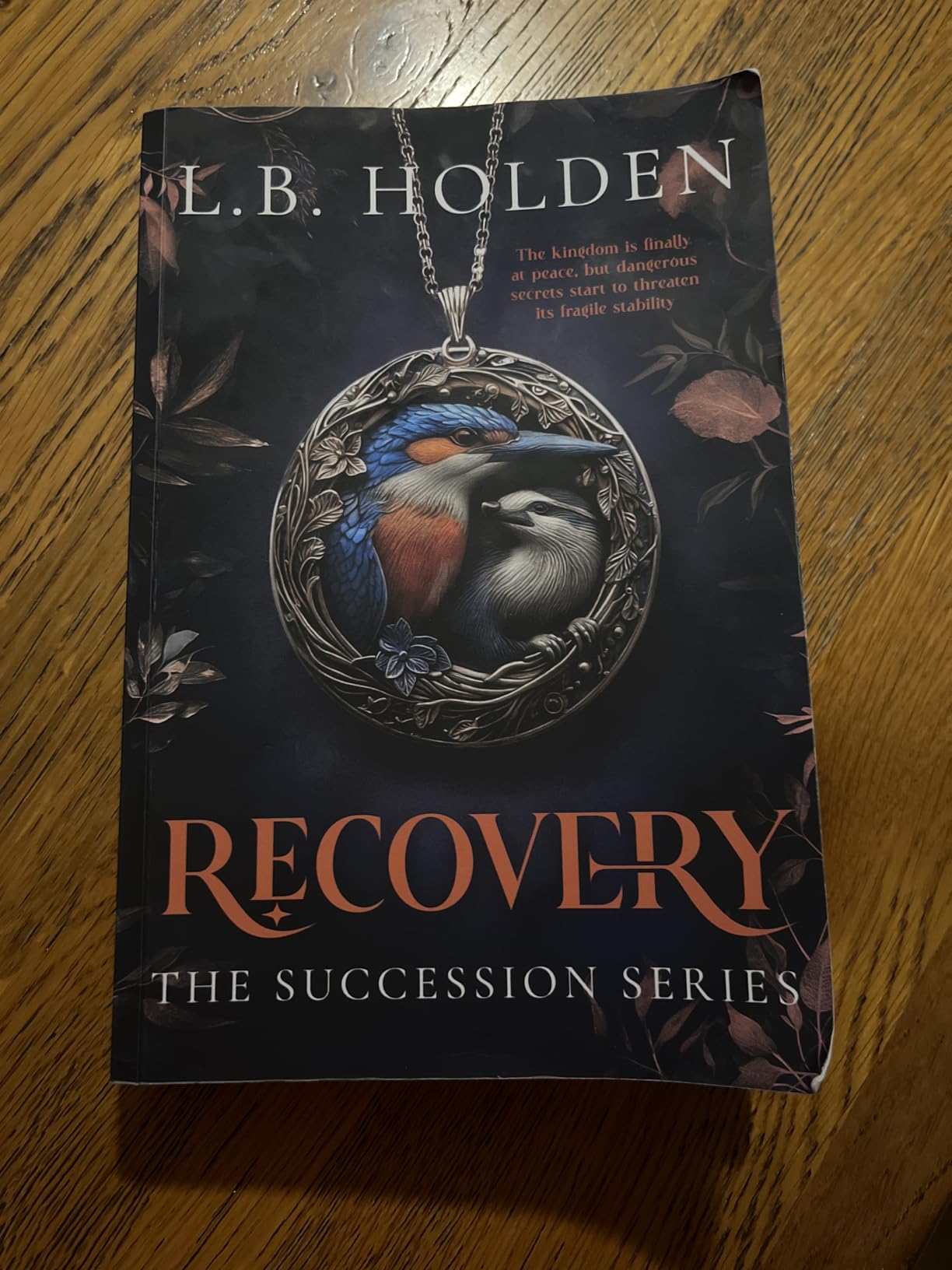 Recovery: The Succession Series: 1 : Holden, L.B., Baker, Naovi: Amazon ...