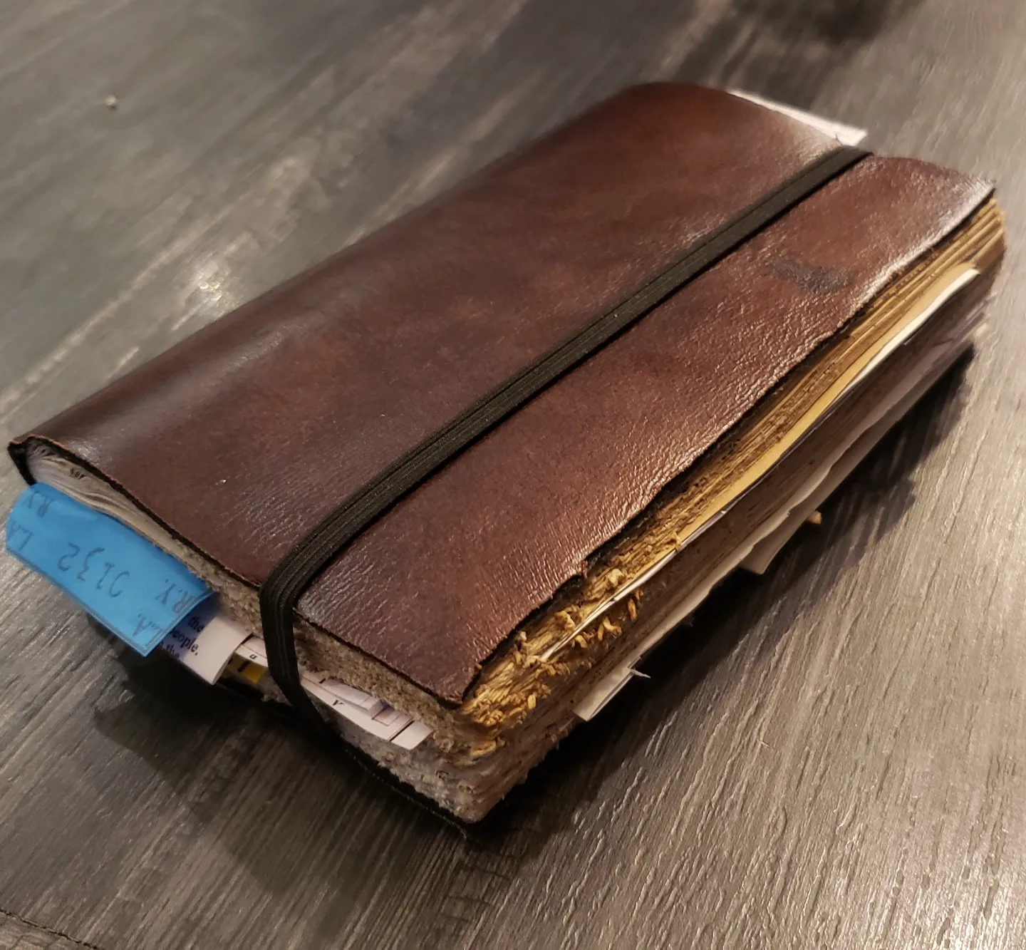 The Grail Diary: Indiana Jones and the Last Crusade : Amazon.in: Books