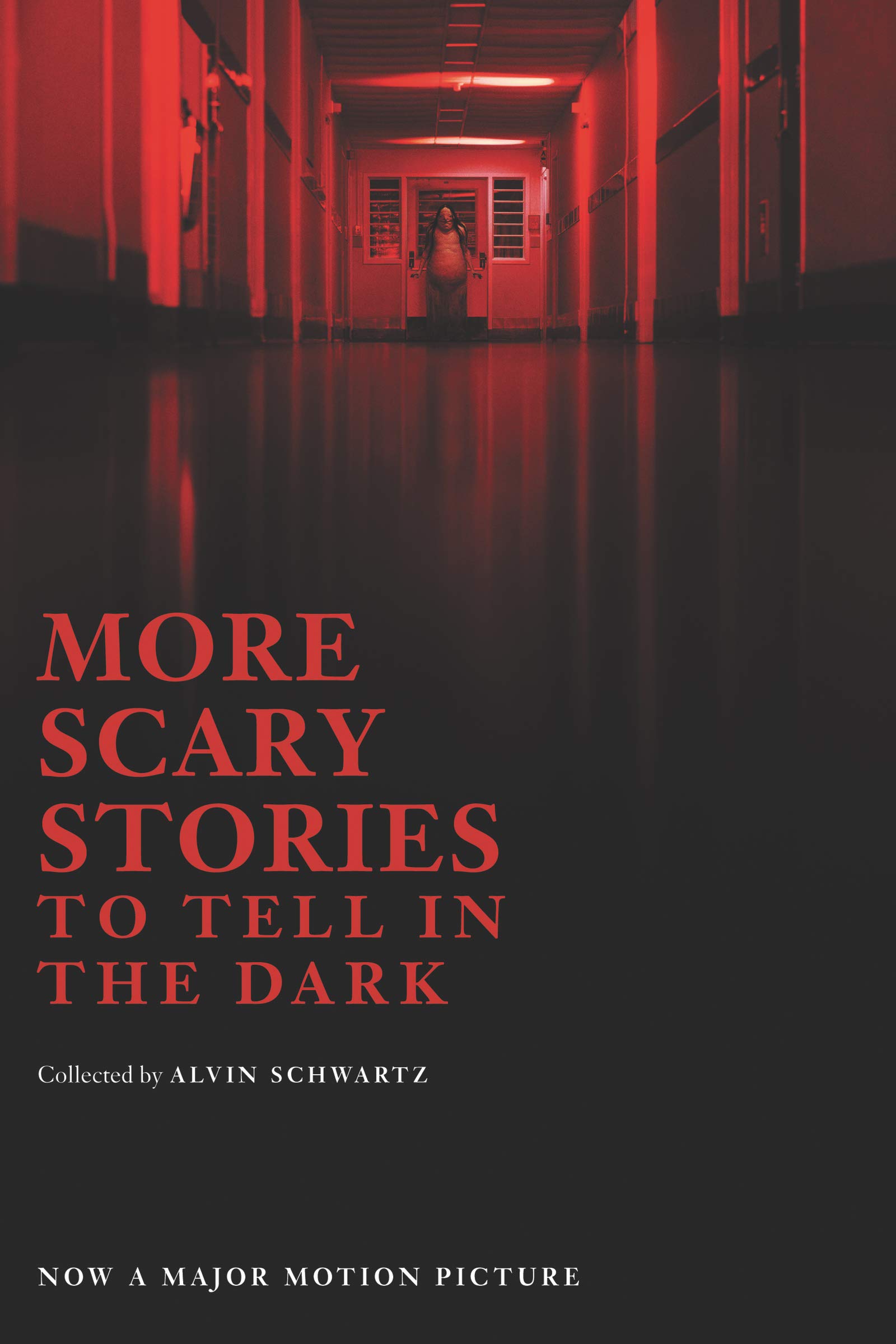 Amazon.com: More Scary Stories to Tell in the Dark Movie Tie-in Edition ...