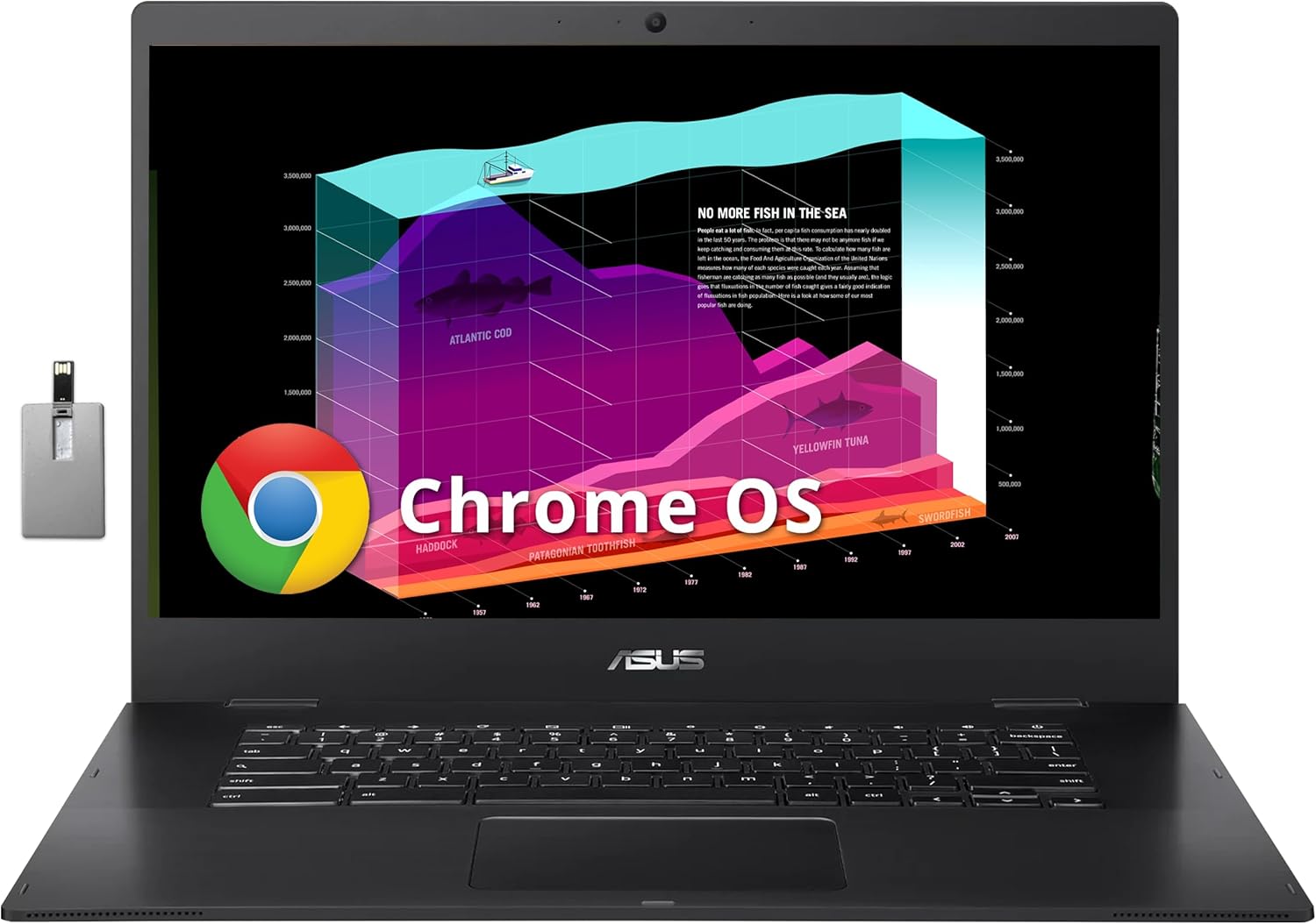 Amazon.com: ASUS Chromebook CX1 15.6" FHD Laptop, Intel Celeron N3350 ...