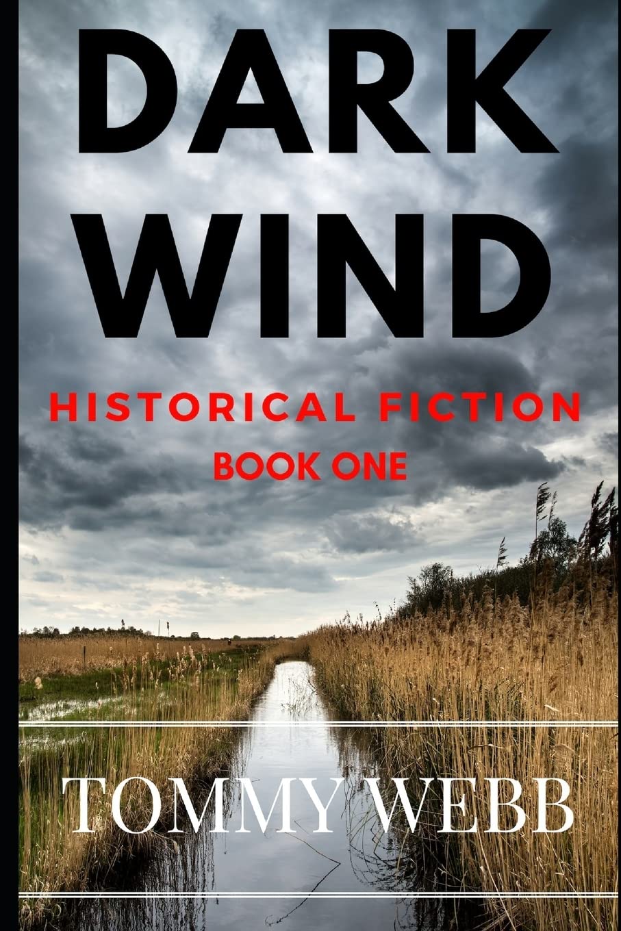 Amazon.com: Dark Wind: 9781733855112: Webb, Tommy, Webb, Kathy, Linnens ...