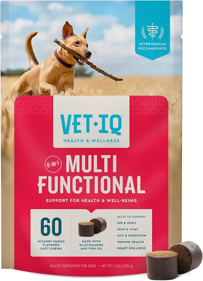 Canine Gout: Understanding Its Causes And Treatment | PetShun