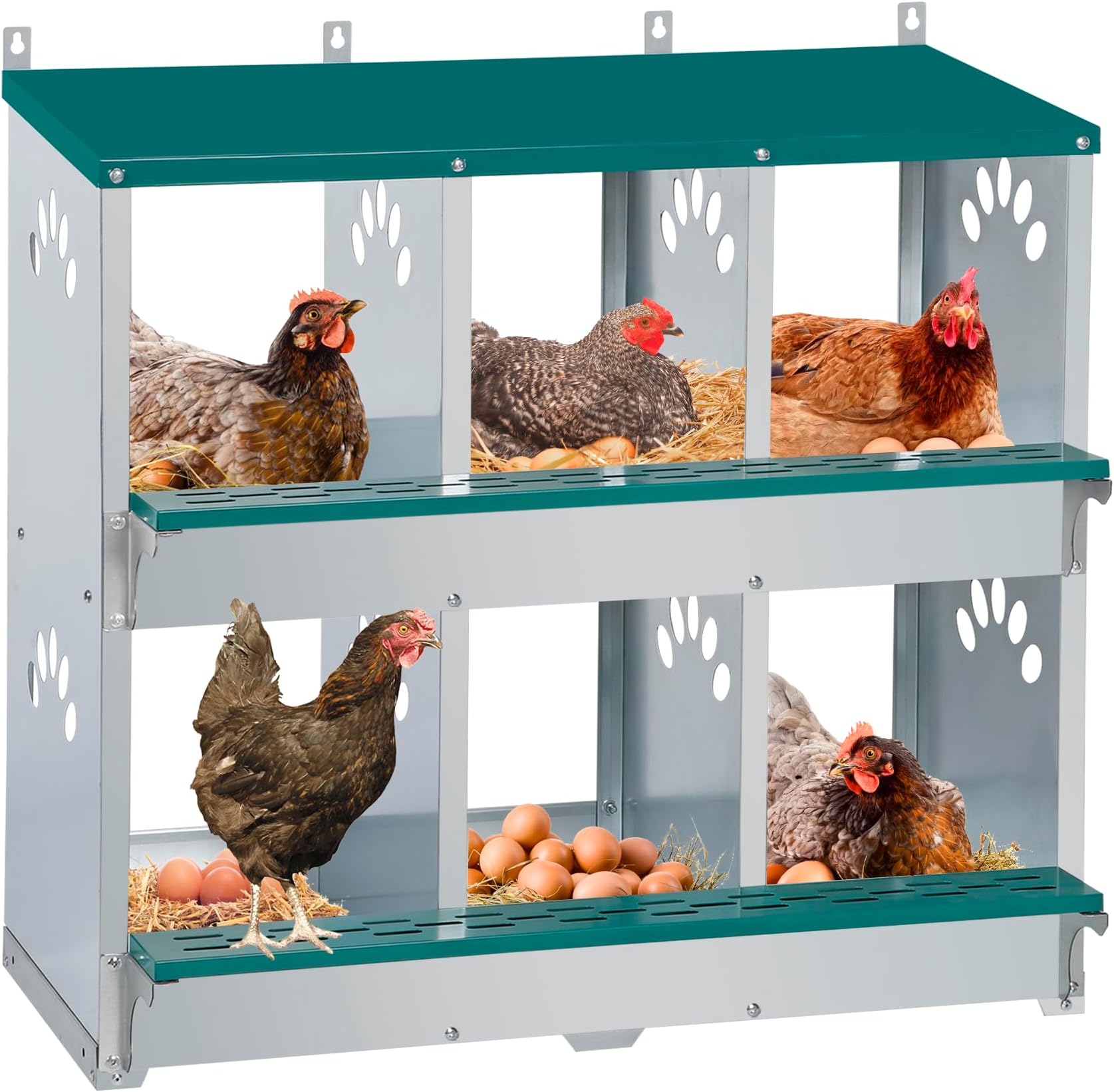 Amazon.com : Harris Farms 2 Hole Galvanized Steel Chicken Nesting Box ...
