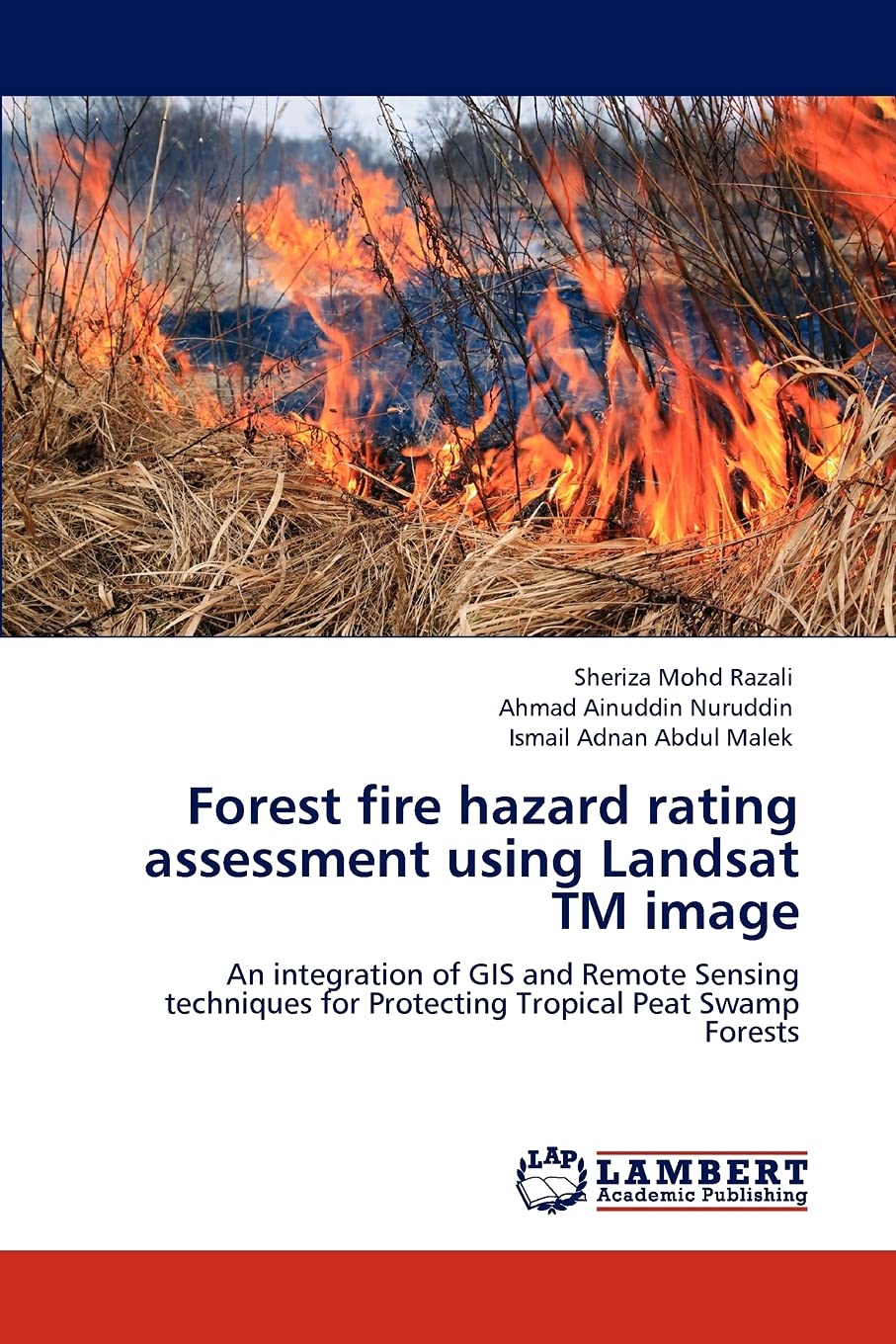 Buy Forest fire hazard rating assessment using Landsat TM image: An ...