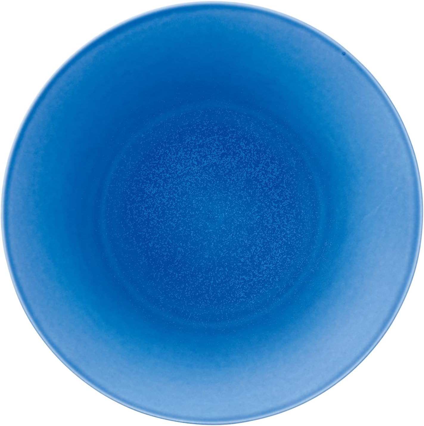 Amazon.com: Noritake 10-589J/94921 Coupe Rate, 11.0 inches (28 cm ...