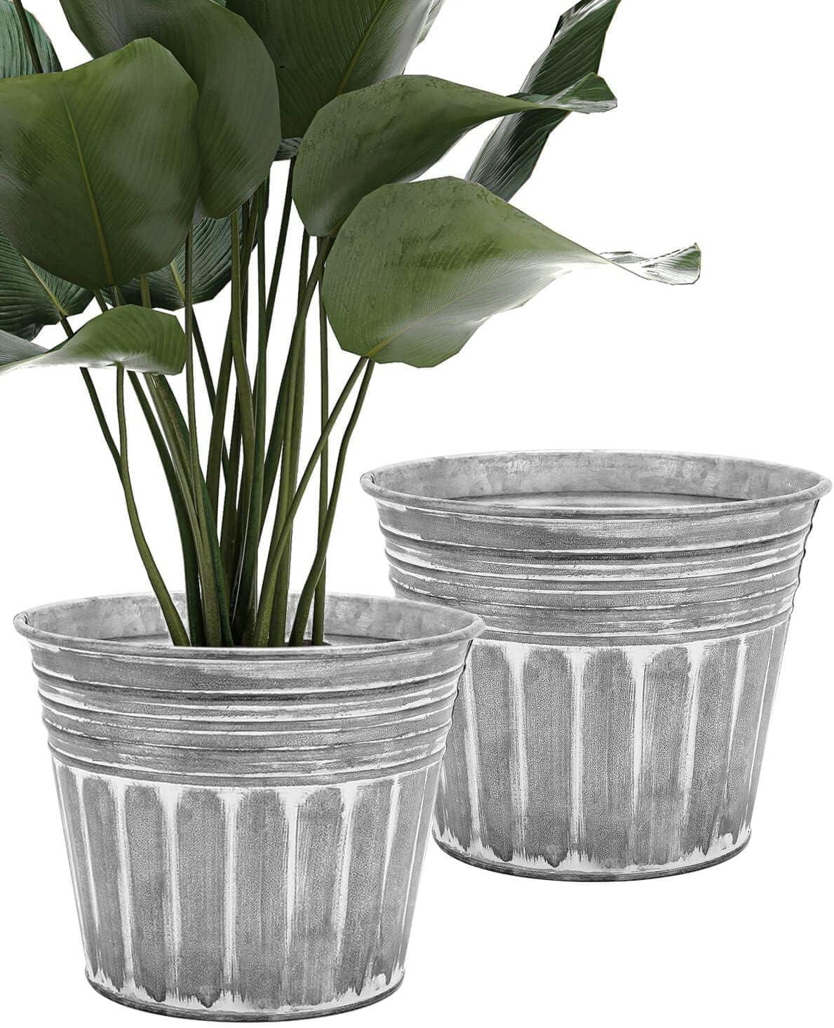Amazon.com: Stonebriar Silver Aged Galvanized Metal Container with Rust ...