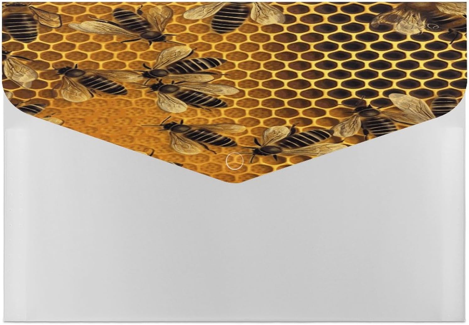 Amazon.com : Plastic File Folders with Snap,Bees on Hive Clear Folders ...