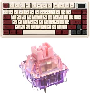 Amazon.com: EPOMAKER CIDOO ABM081 Stellar Wireless Gaming Keyboard +35 ...