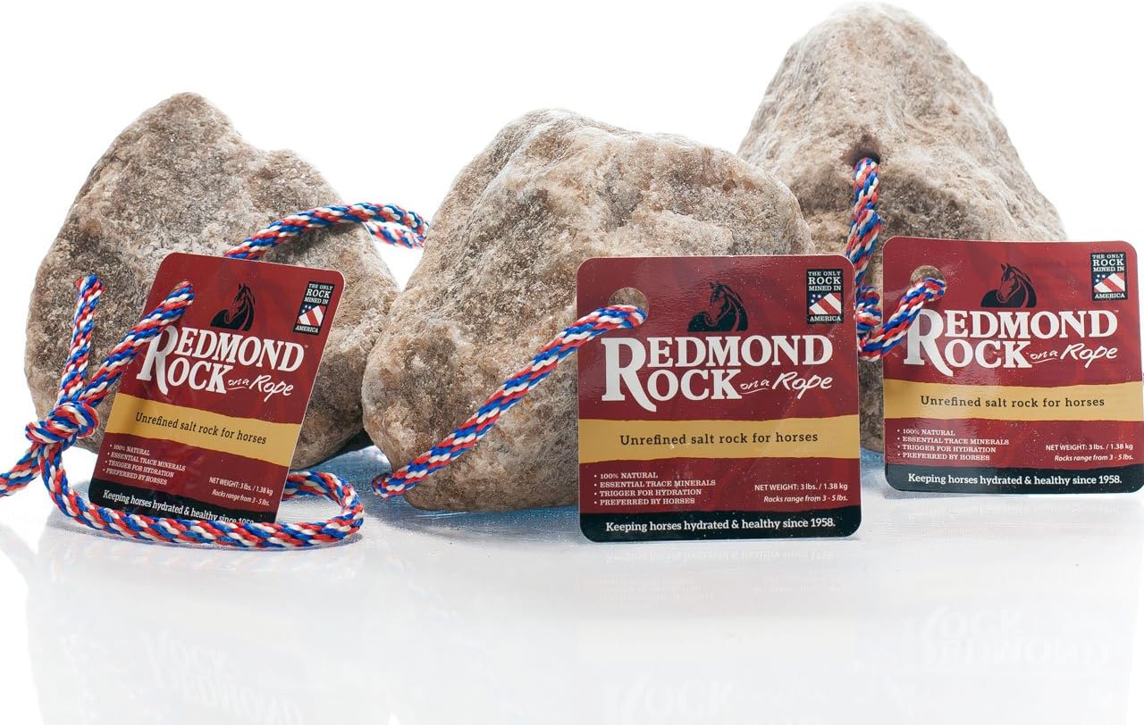 Amazon.com: REDMOND - Rock on a Rope Unrefined Salt Rock for Horses 3 ...