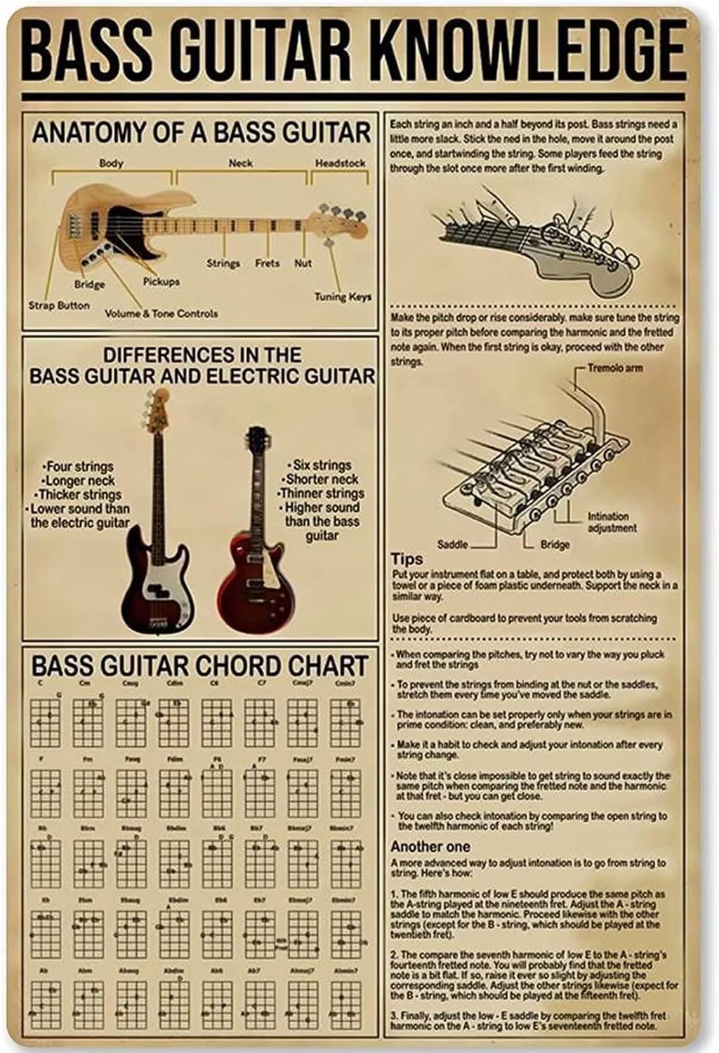 Amazon.com : Bass Guitar Knowledge Metal Tin Signs Anatomy Of A Bass ...