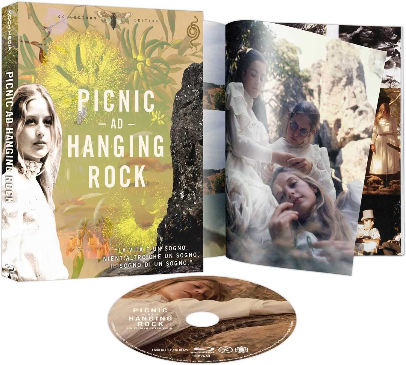 Amazon: Picnic Ad Hanging Rock [Blu-Ray] [Import]: DVD et Blu-ray: Blu-ray
