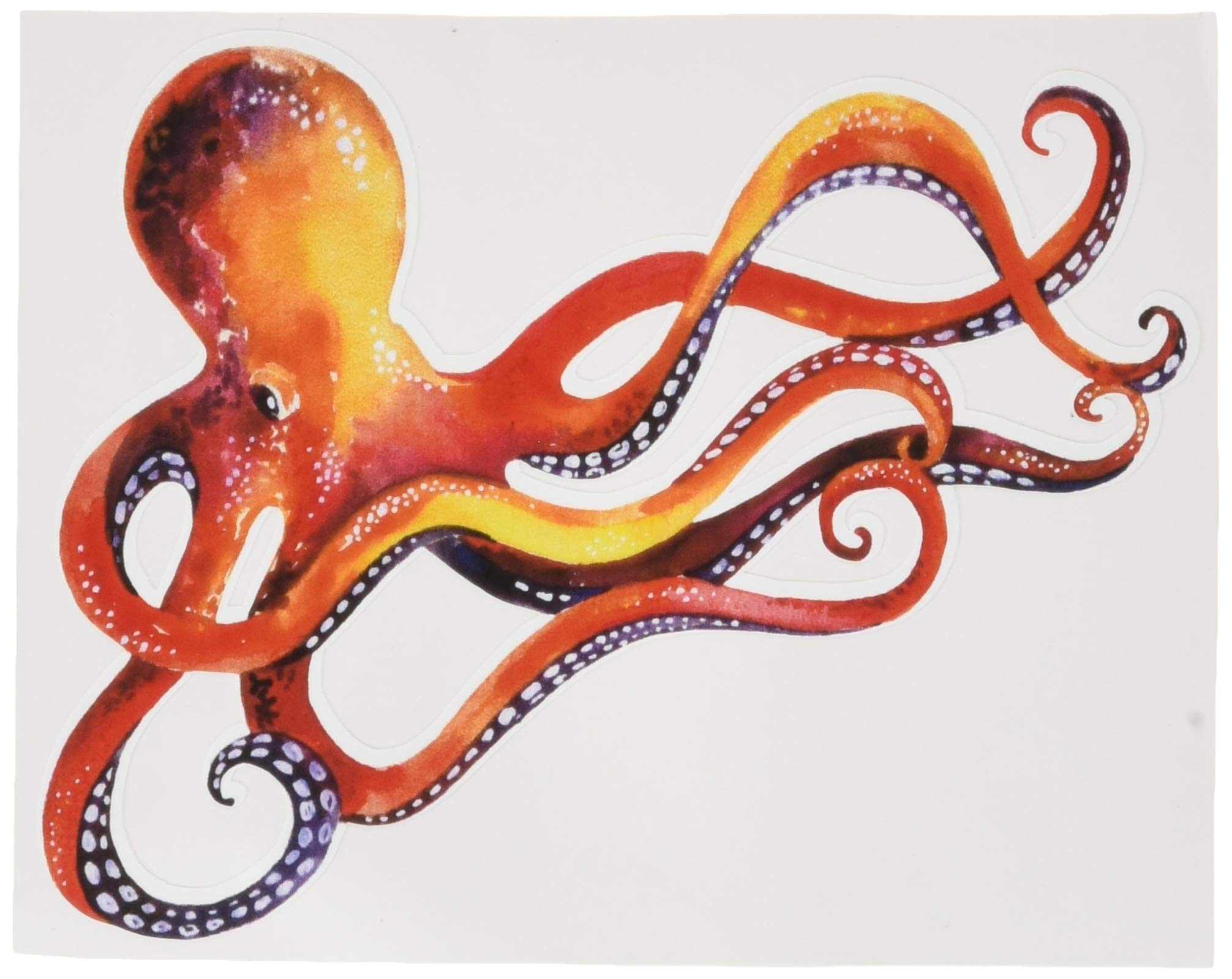Octopus Watercolor Paintings