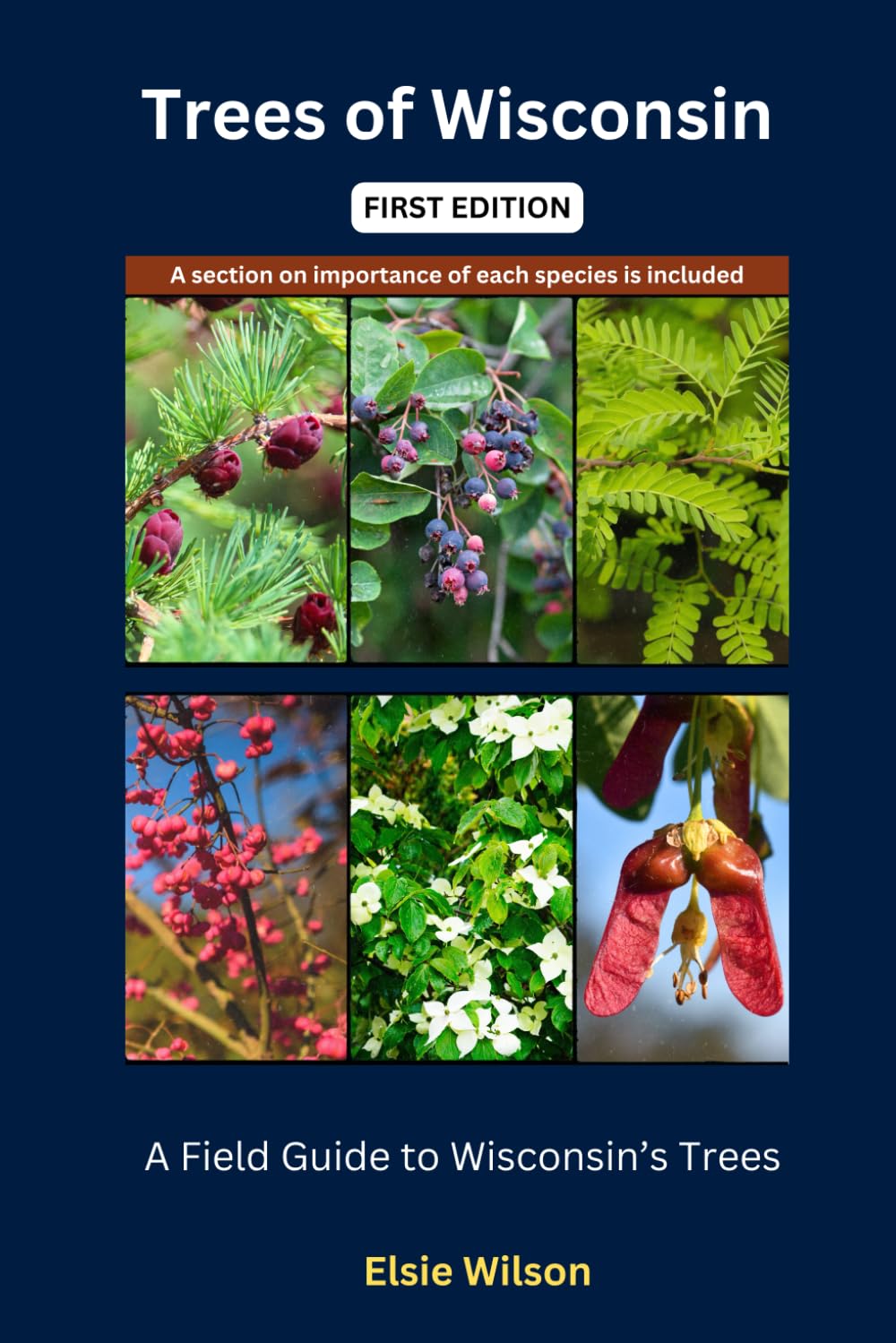 Types Of Trees In Wisconsin