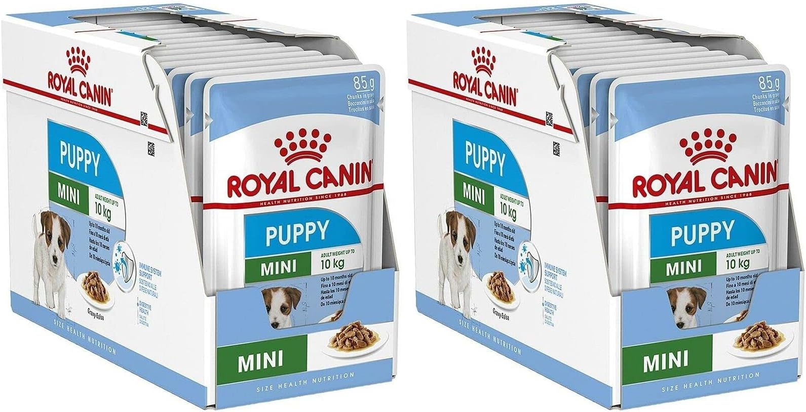Royal Canine Puppy Mini Box Box 12x85GR 1000 G : Amazon.it: Prodotti ...