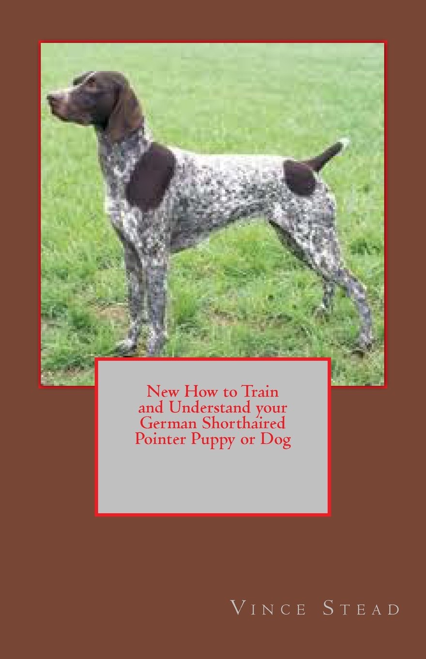 Does The German Shorthaired Pointer Have Rabies