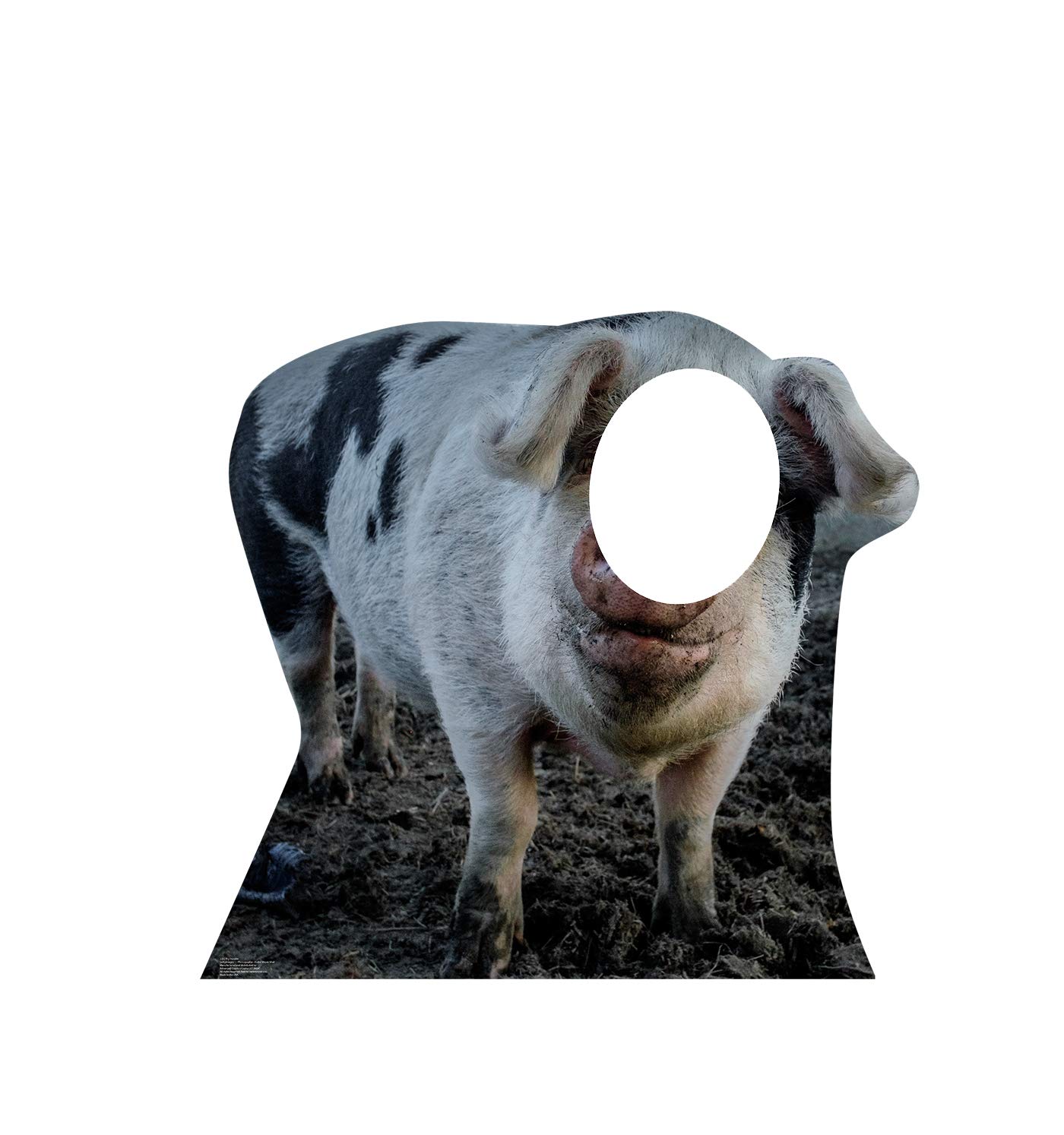 Amazon.com: Cardboard People Pig Stand-in Life Size Cardboard Cutout ...