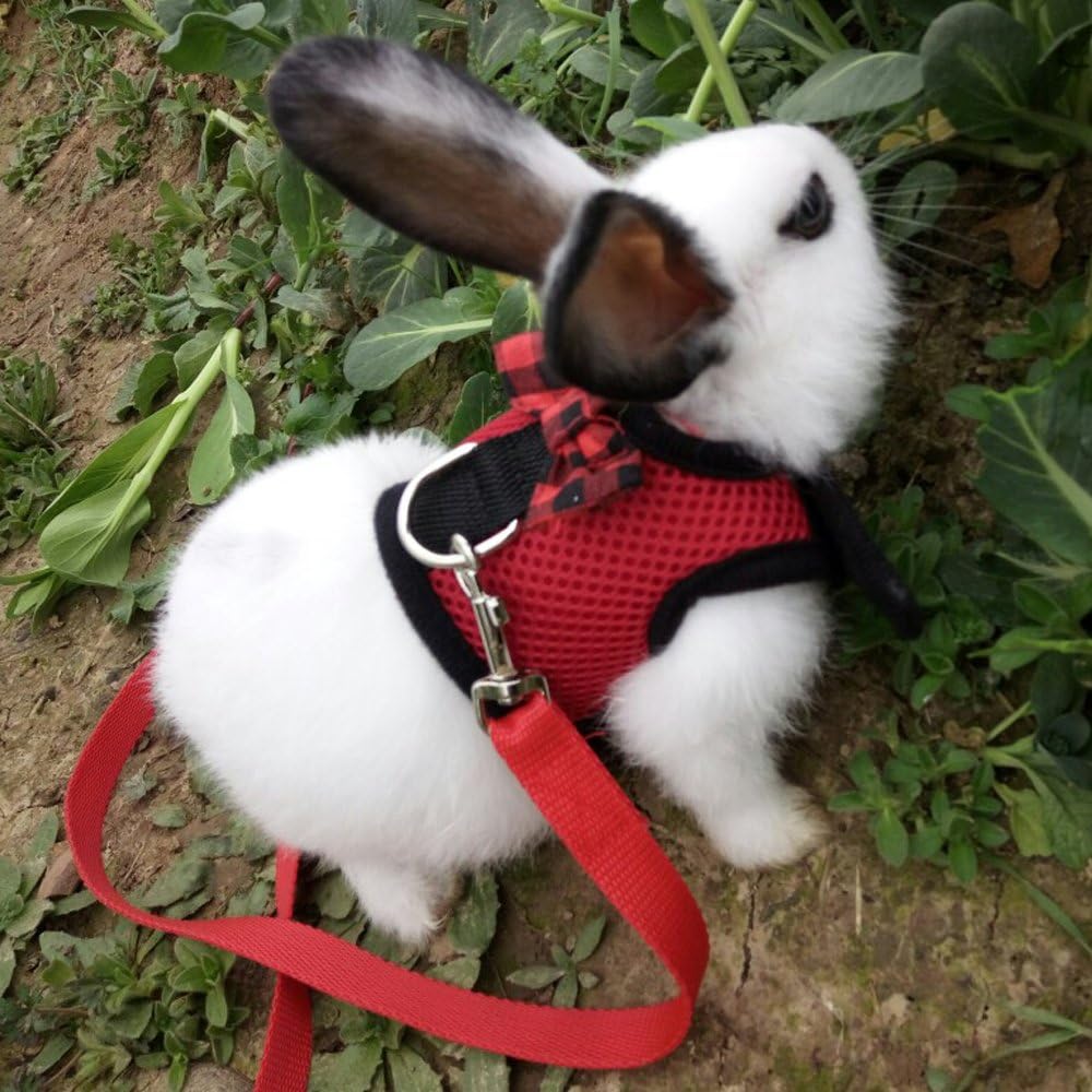 Amazon.com : Layboo Soft Mash Rabbits Harness with Leash Reflective for ...