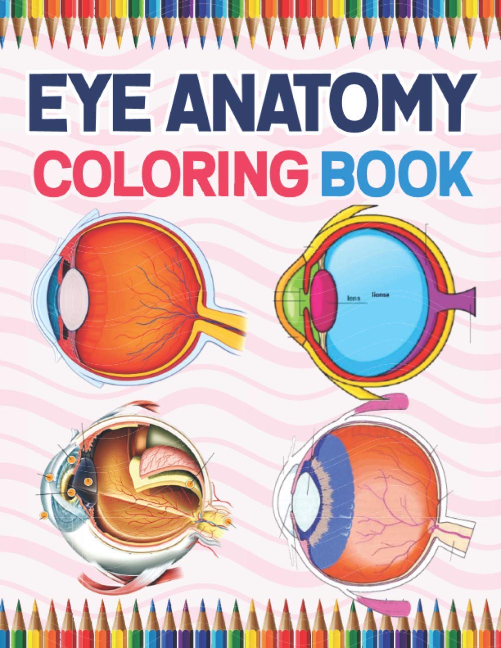 Buy Eye Anatomy Coloring Book Human Eye And Human Anatomy Learning