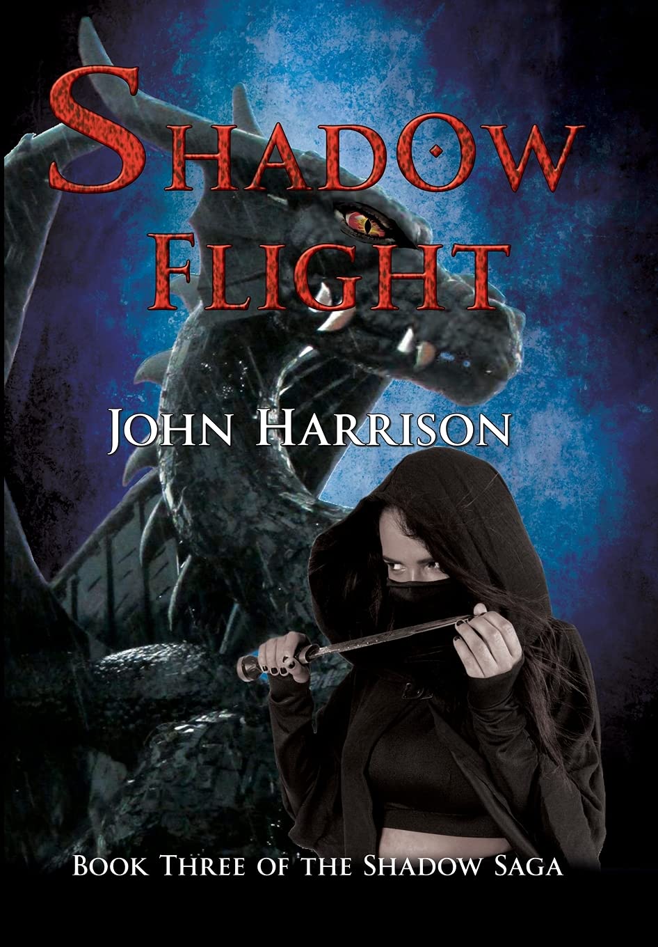 Amazon.com: Shadow Flight: 9781947061156: Harrison, John: Books