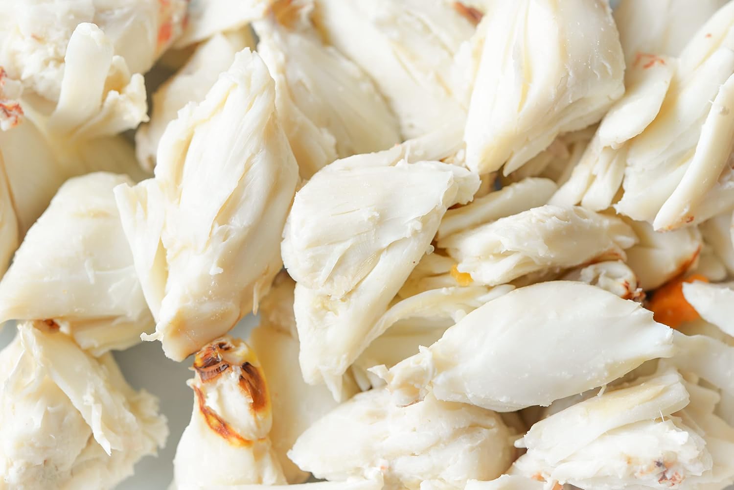 Amazon.com: Fresh Lump Crabmeat | 3 LB | Sweet & Tender | Premium ...