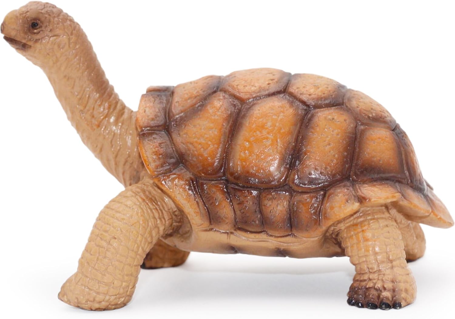 Amazon.com: Gemini&Genius Giant Tortoise Toy Figure for Kids, Realistic Tortoise Action Figure ...