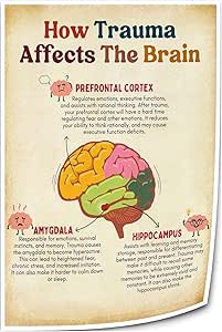 Amazon.com: Yelowcaq Mental Health Wall Art How Trauma Affects The ...