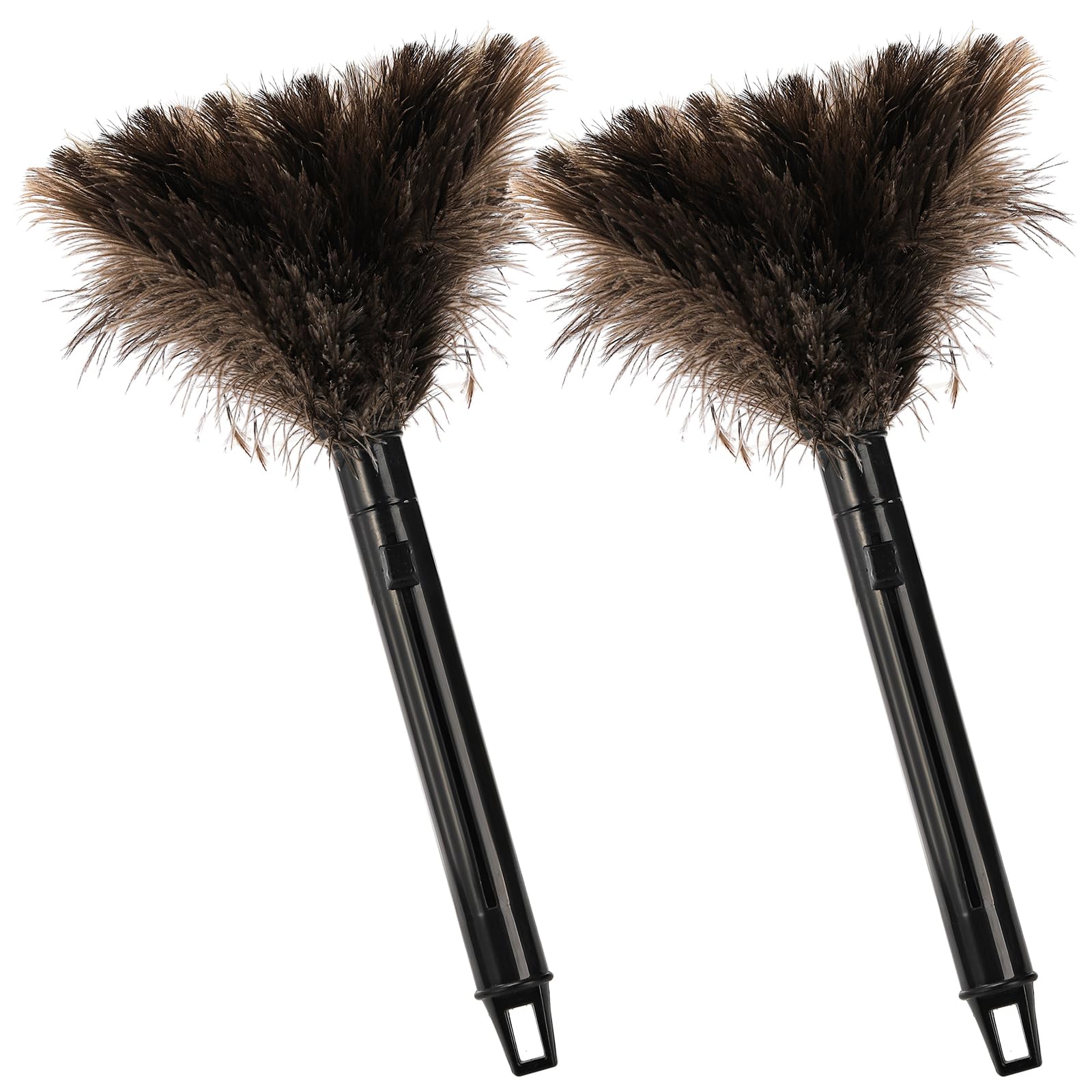 Amazon.com: Goaste 2 Pack Ostrich Feather Duster, 10 Inch Fluffy ...