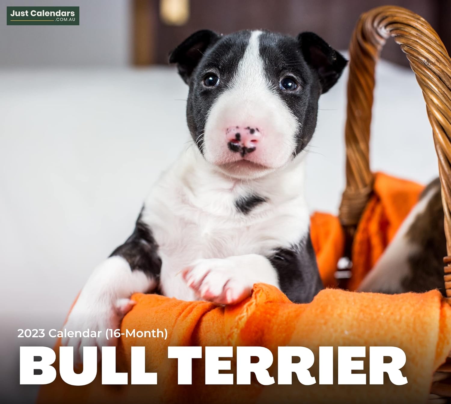 Amazon.com: "Just Calendars 2023 Bull Terrier Deluxe 16 Month Wall ...
