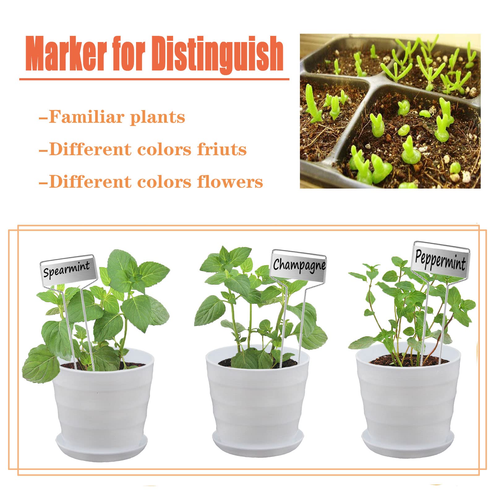 Snapklik.com : 30pcs Plant Labels Plant Markers For Outdoor Plants ...