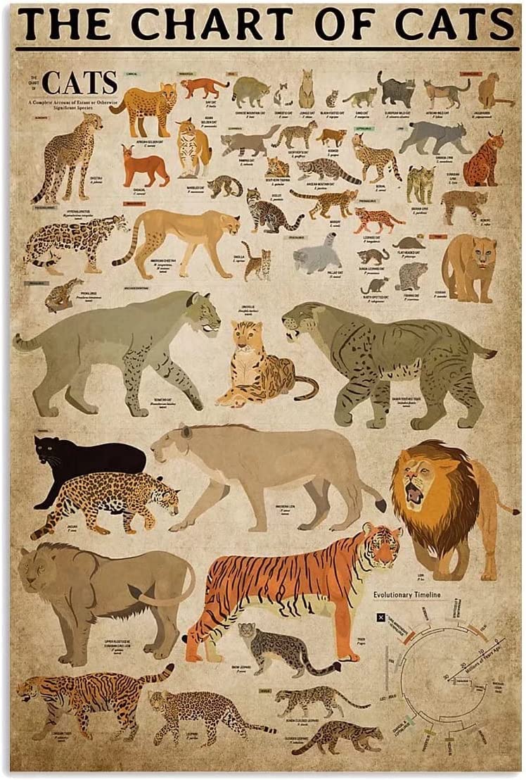 This Wall Chart Shows Every Species In The Cat Kingdom
