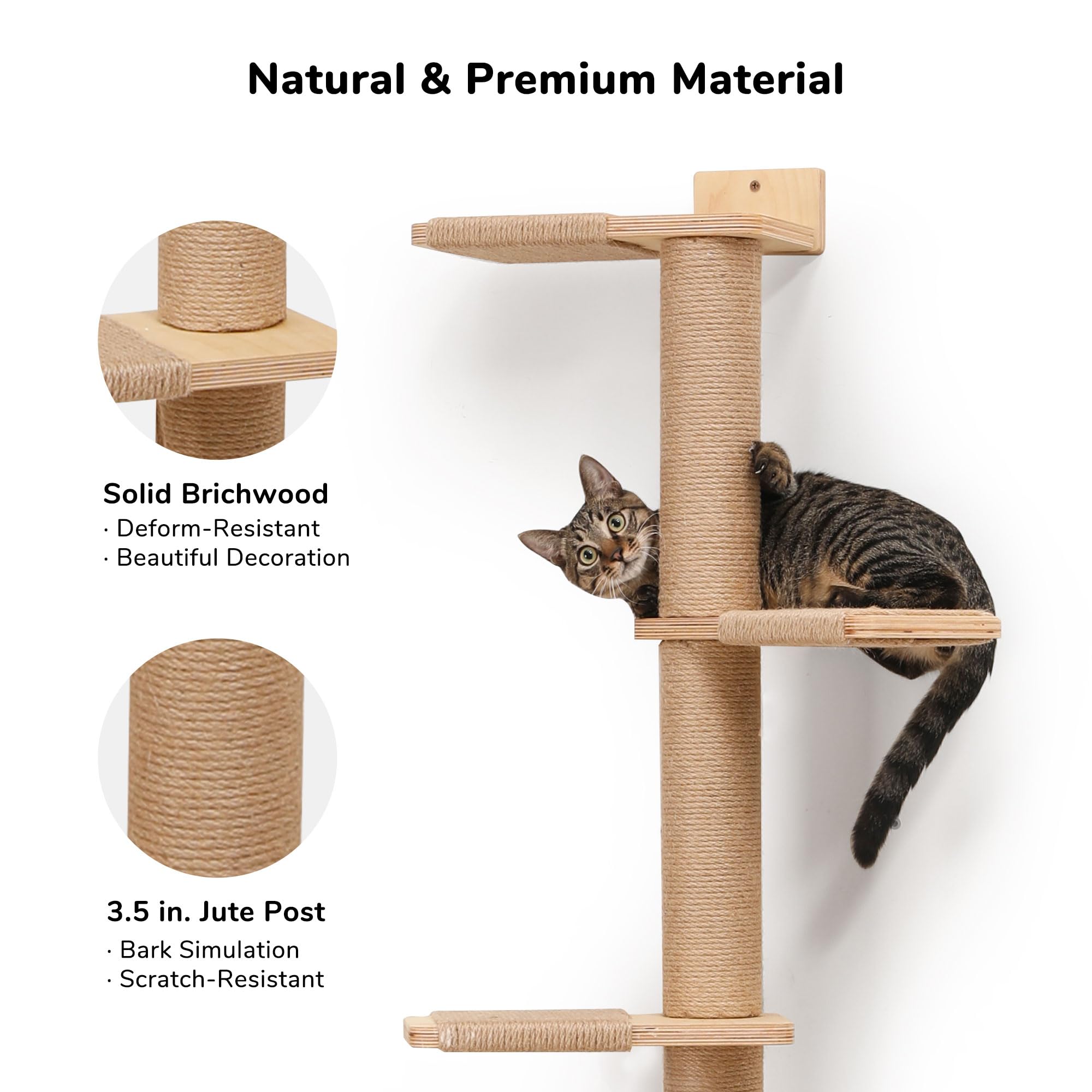 Snapklik.com : Tall Cat Tree, 5 Tier Floor To Ceiling Cat Tower, Wall ...