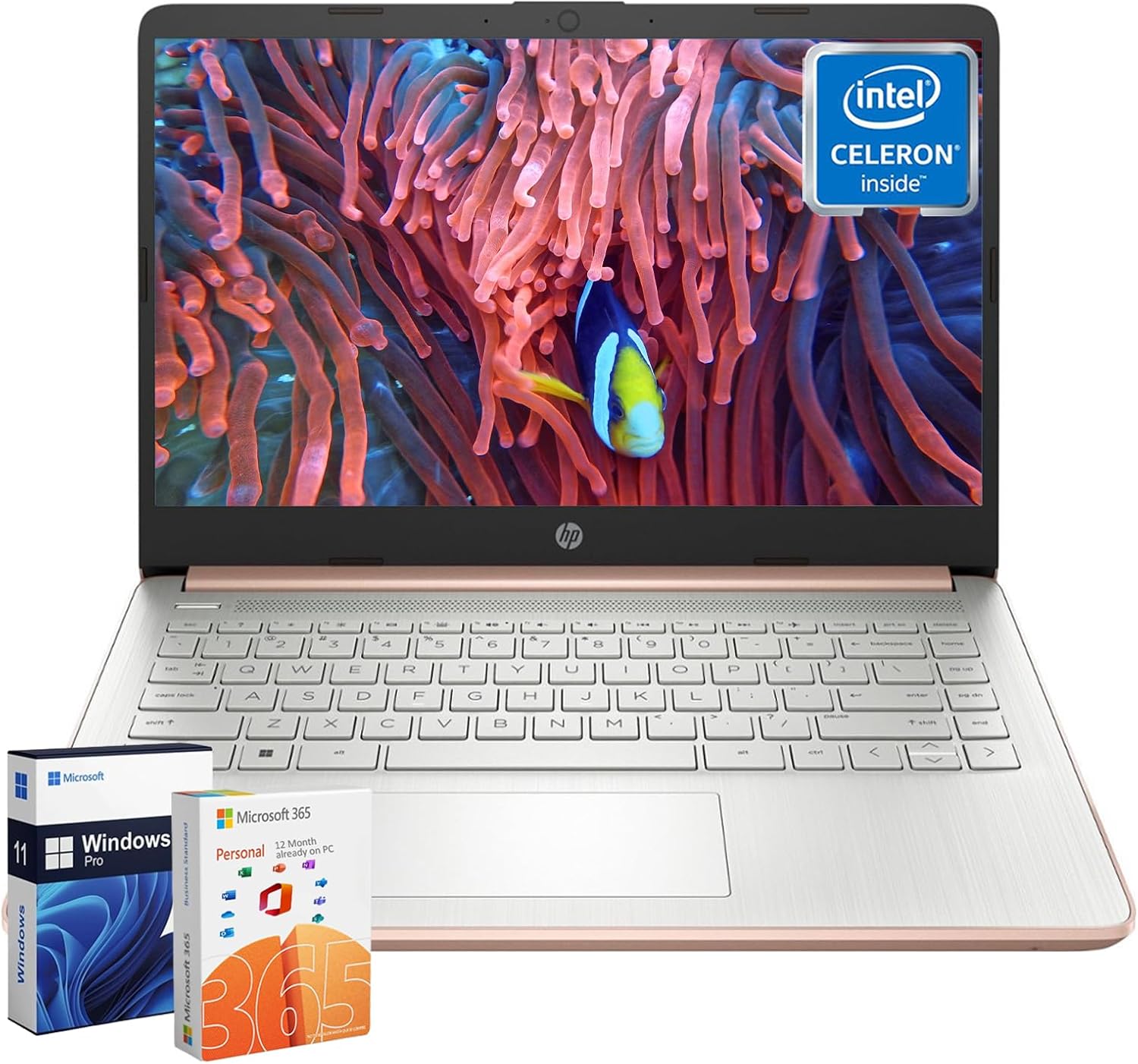 Amazon.com: HP Essential Laptop Everyday Notebook - with 1-Year Office ...