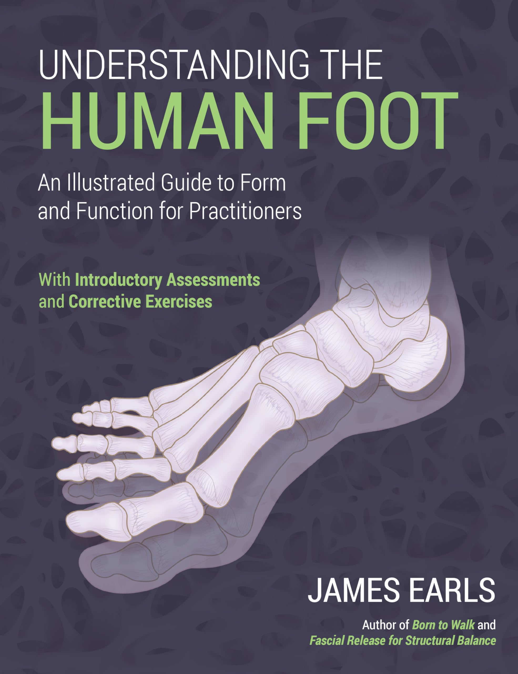 Snapklik.com : Understanding The Human Foot: An Illustrated Guide To ...