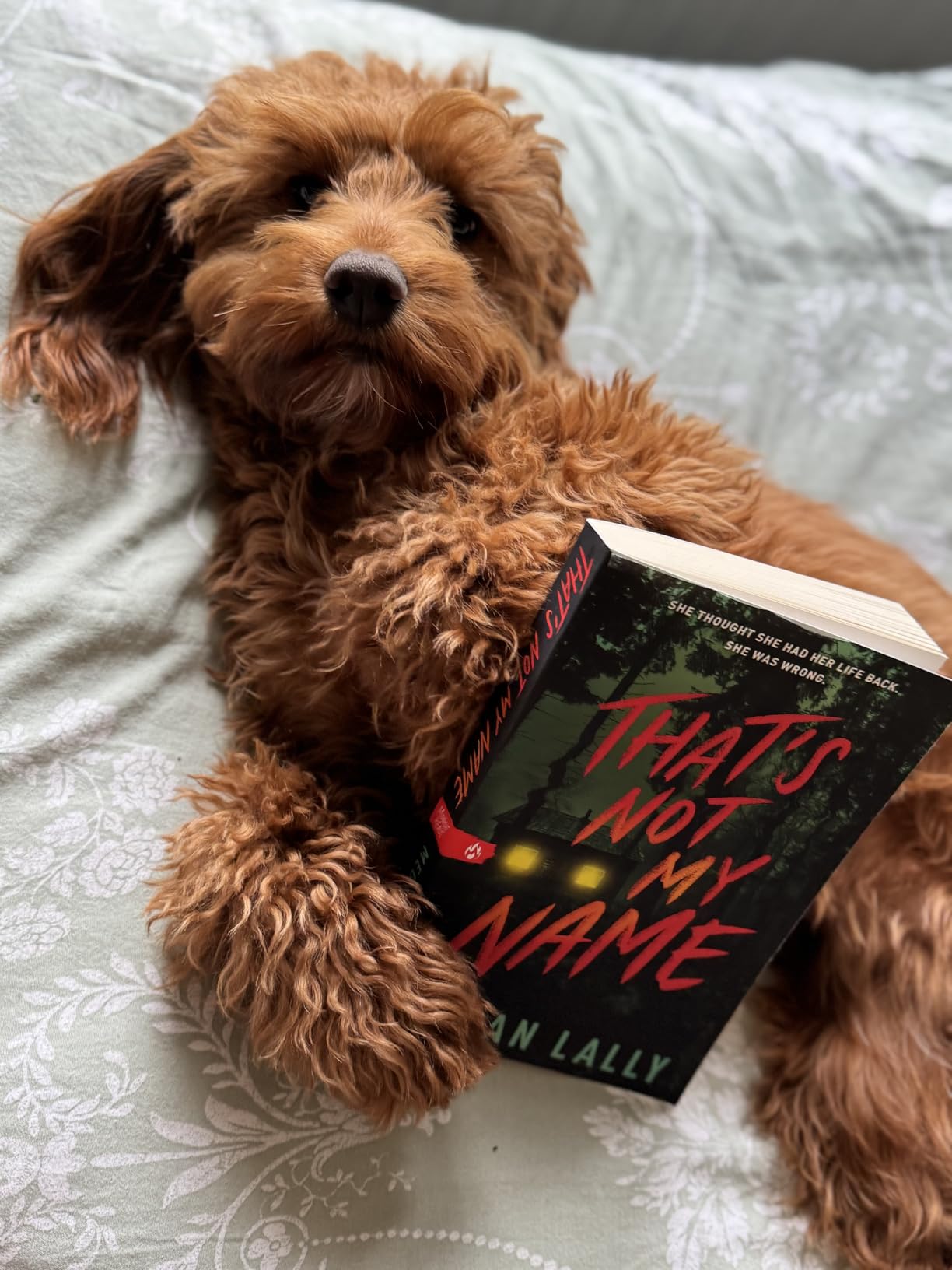 That's Not My Name : Lally, Megan: Amazon.co.uk: Books