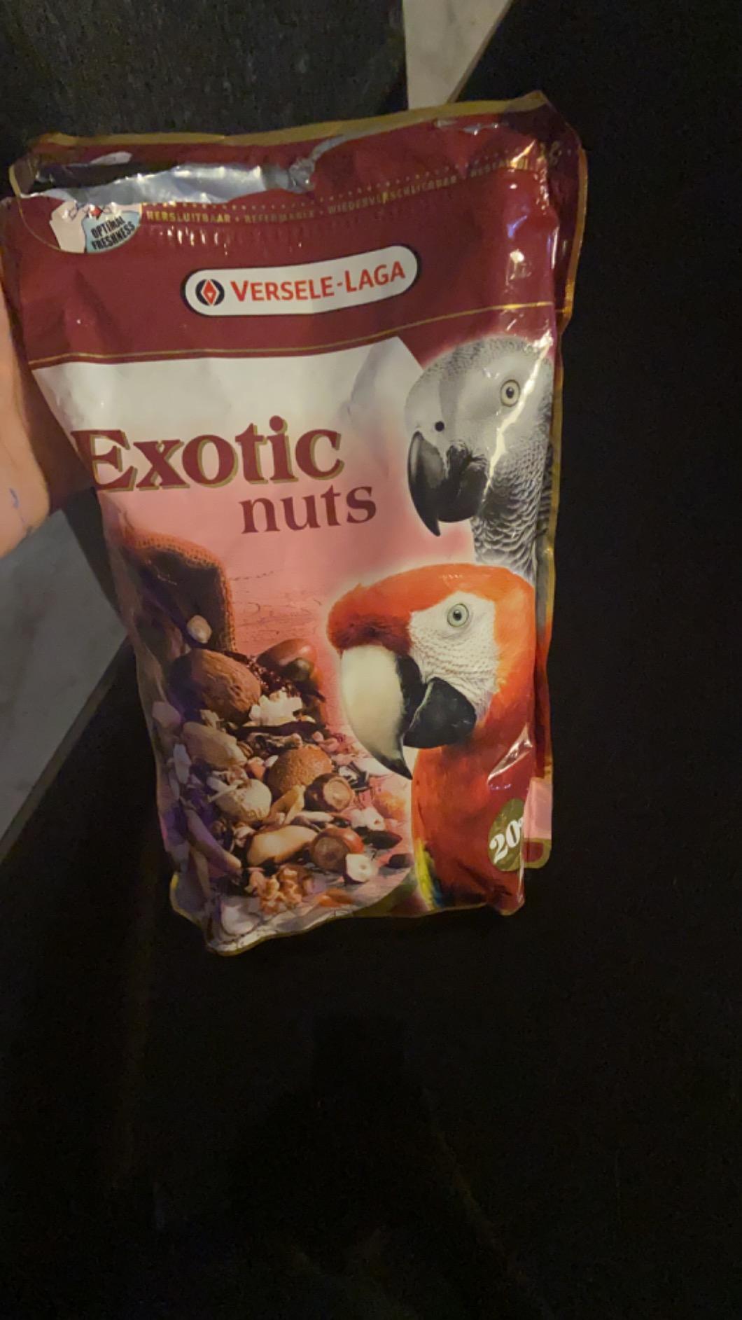 Buy Versele Laga Premium Exotic Nut, Seeds, Grain Mix Treat for Parrots ...