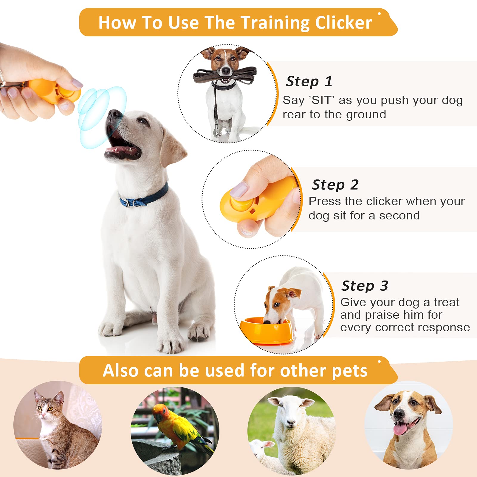 How Often Should I Clicker Train My Dog