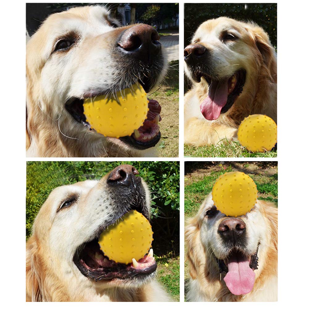 Snapklik.com : Vivifying Dog Ball On A Rope, 2 Pack Natural Interactive ...