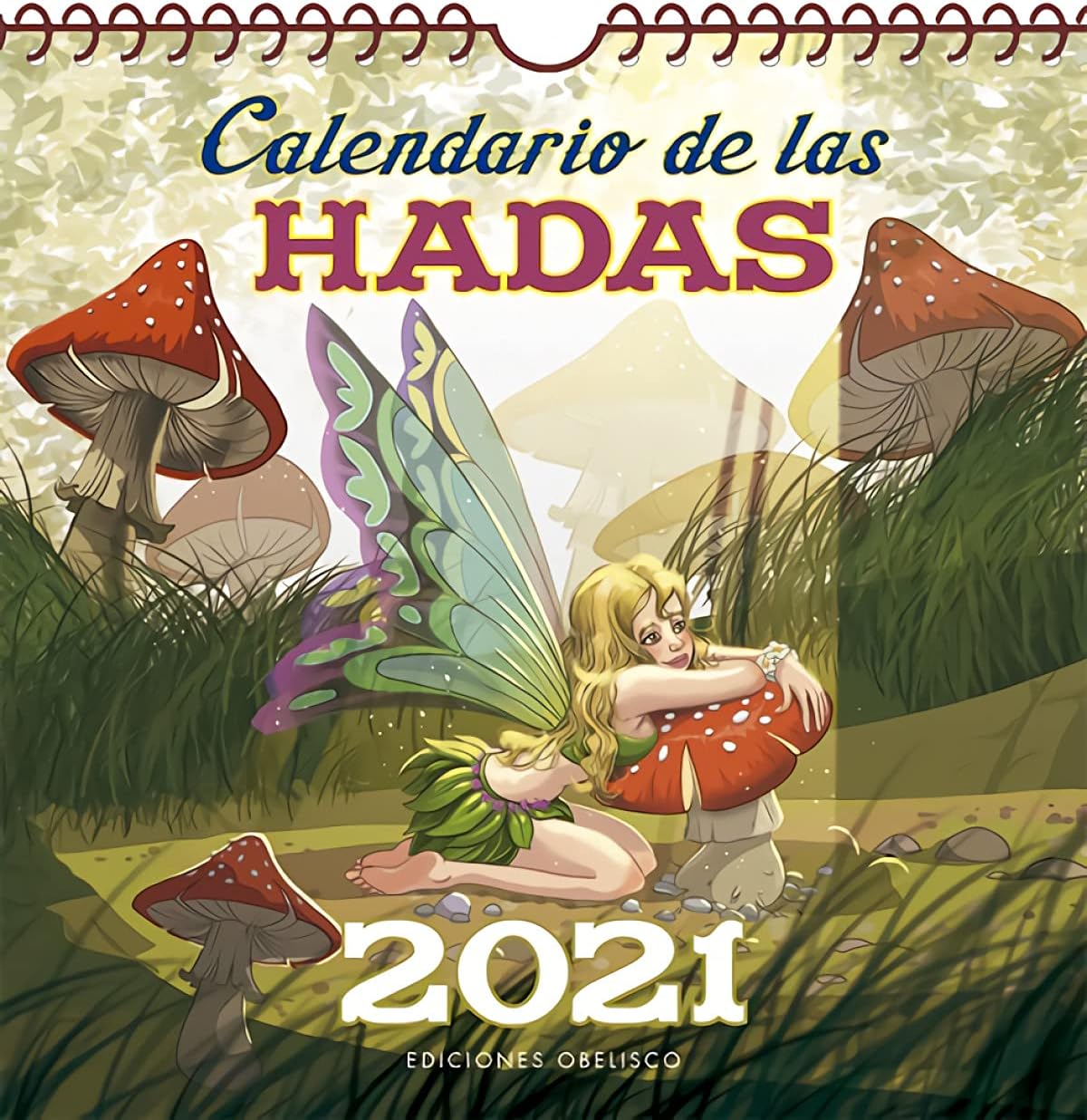 2021 Calendario De Las Hadas: Various: 9788491116011: Amazon.com: Books