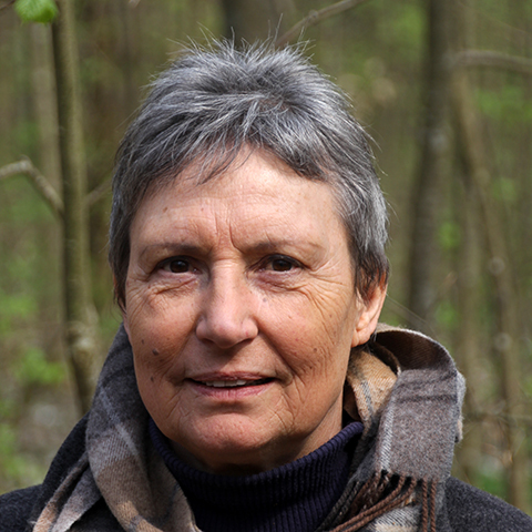 Naturraum-Pädagogik: Pädagogische Ansätze in der Kita : Miklitz, Ingrid ...
