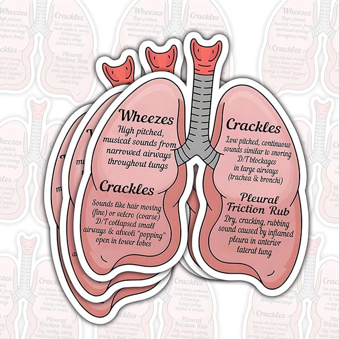 Amazon.com: (3 Pcs) Lung Sounds Sticker Educational Medical Graphic ...