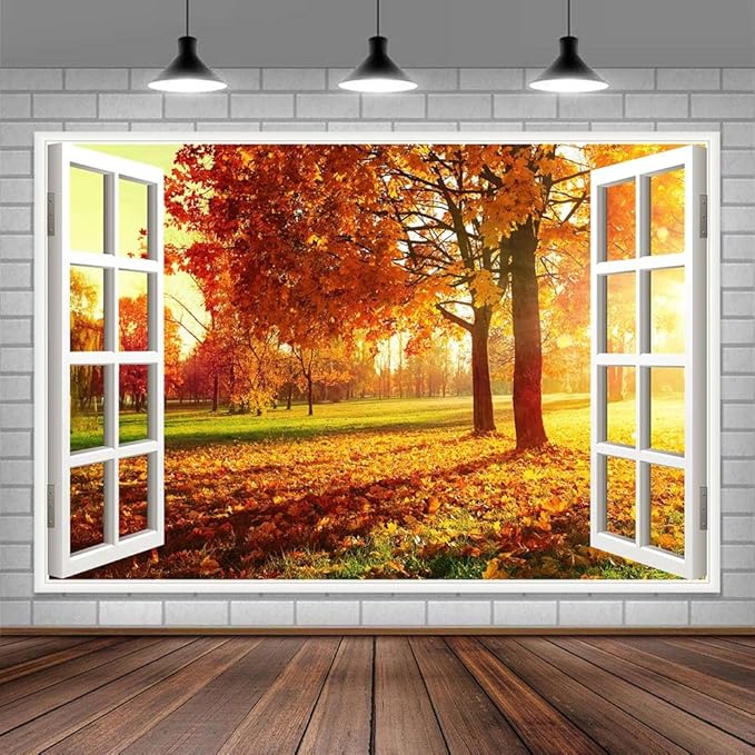 Amazon.com : Fall Window Backdrop Autumn Landscape Forest Photography ...